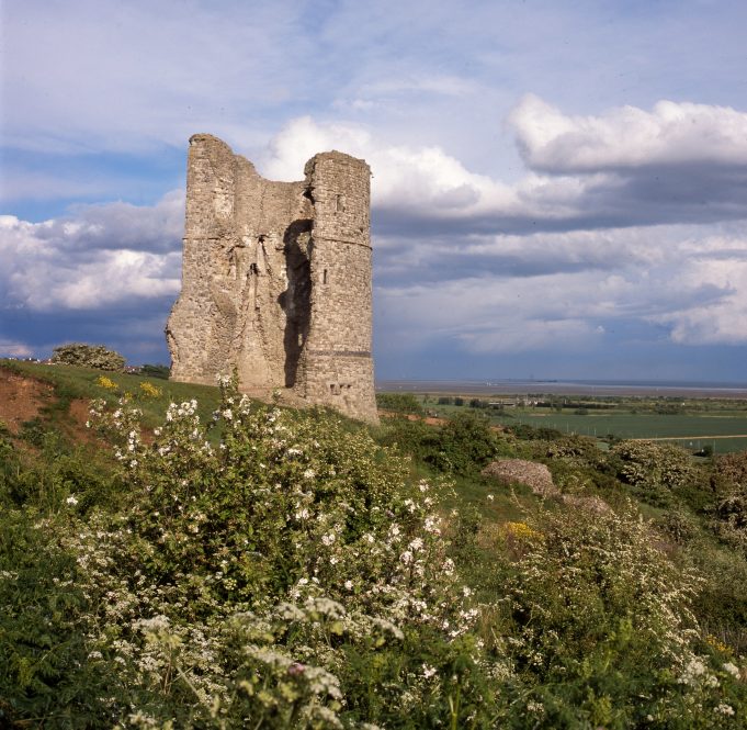 Is the Country Park Hadleigh's best kept secret? | Green spaces ...