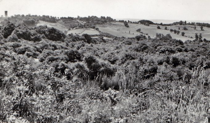 Thundersley Glen Memories | Green spaces | Hadleigh & Thundersley ...