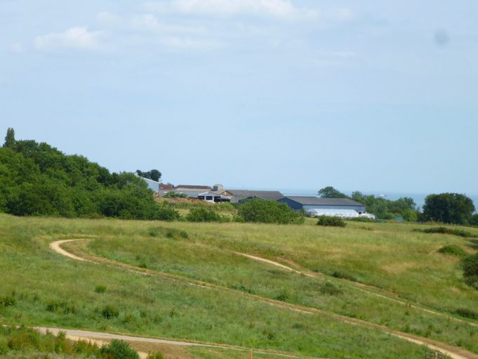 Hadleigh Park's Olympic Legacy | Green spaces | Hadleigh & Thundersley ...