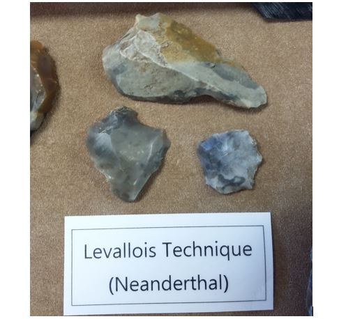 Prehistoric Flints from Hadleigh at Library History Day | AGES ...