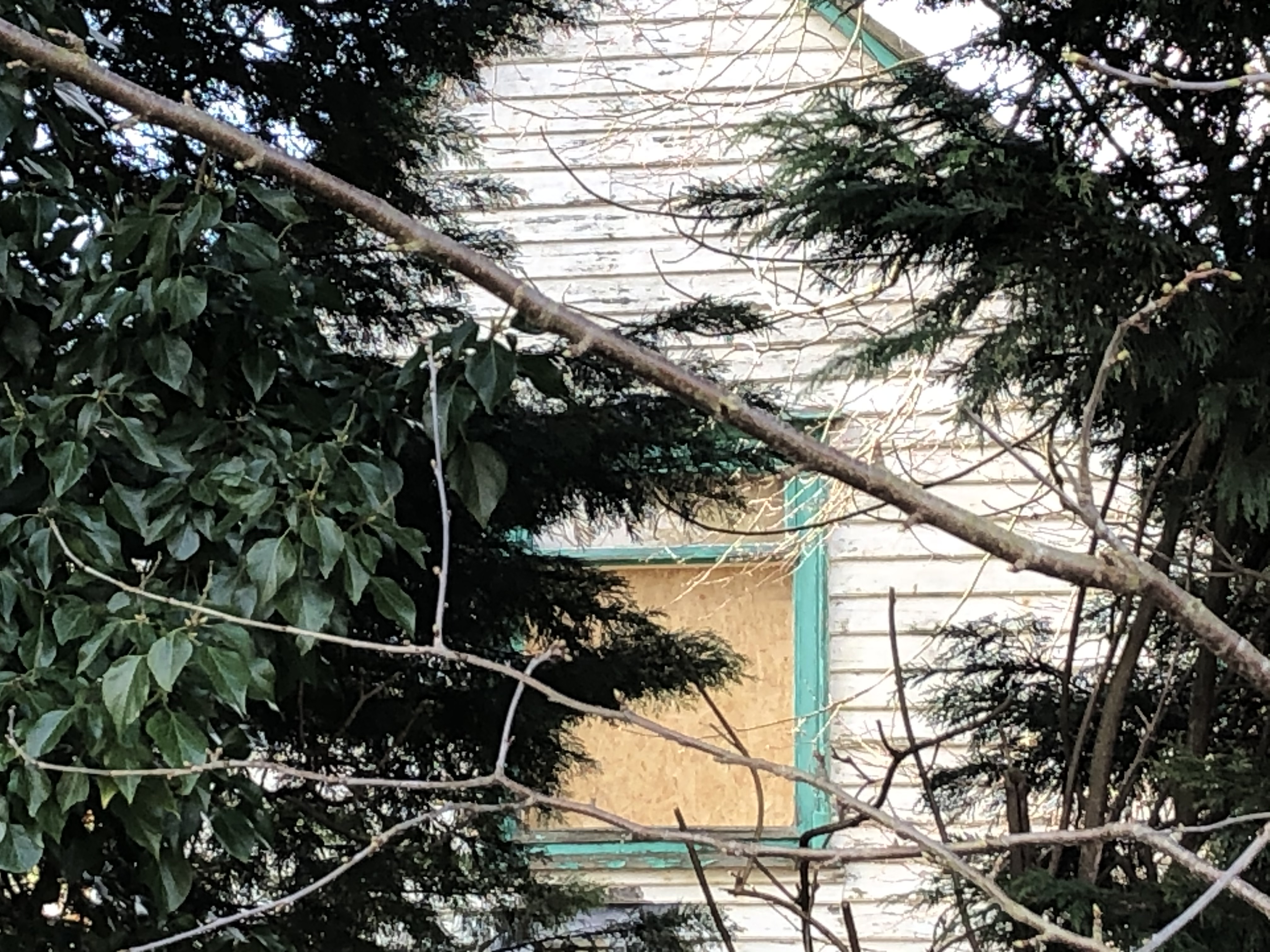 Sayers Farm in isolation; still a great walk | Lockdown 2020, Buildings ...