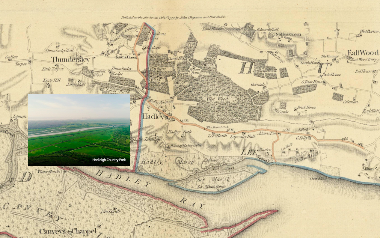 Wonderful Hadleigh Country Park, Essex | Hadleigh Castle, Green spaces ...