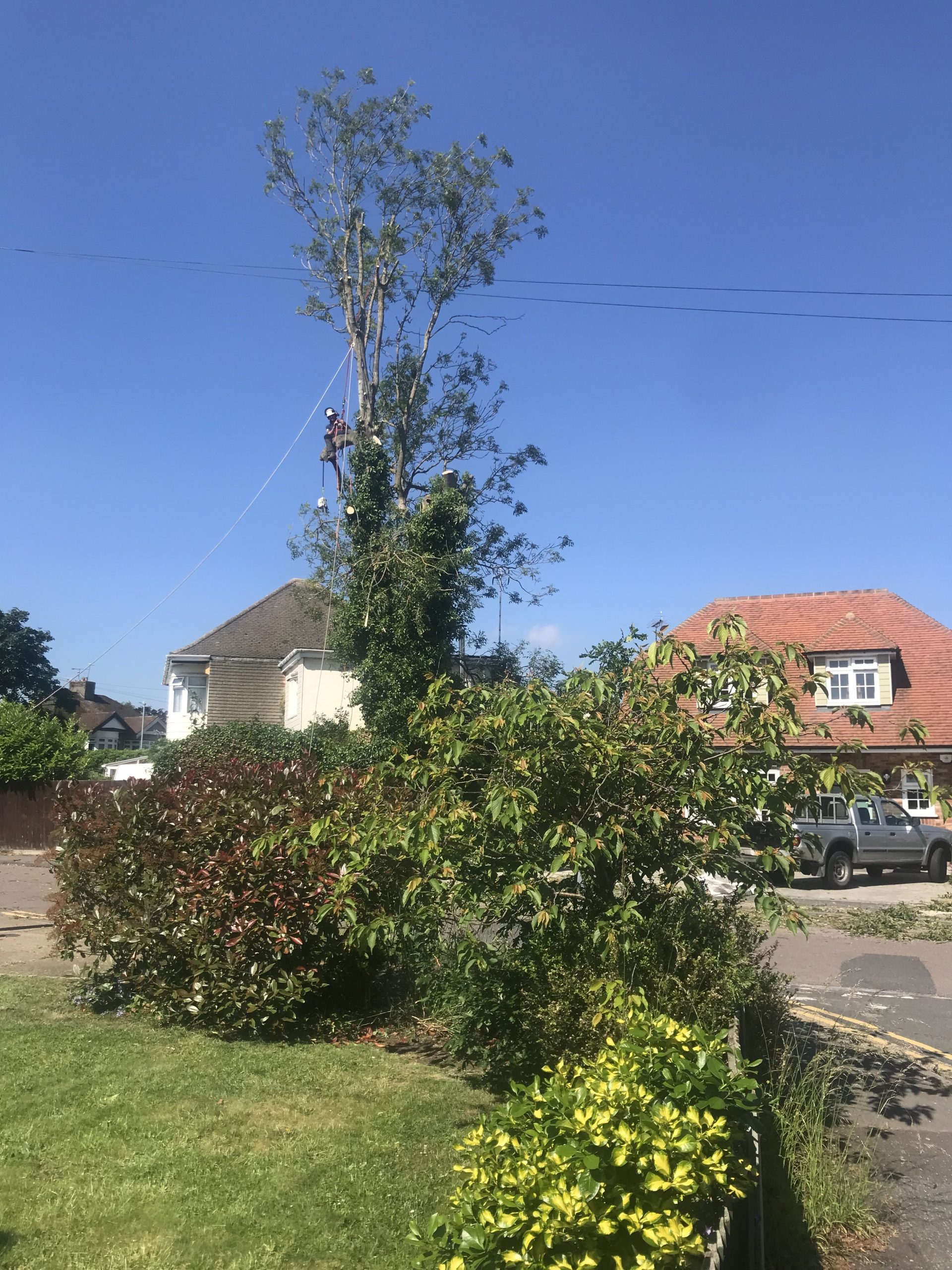 The Common Limit | When it's gone.... | Hadleigh & Thundersley ...