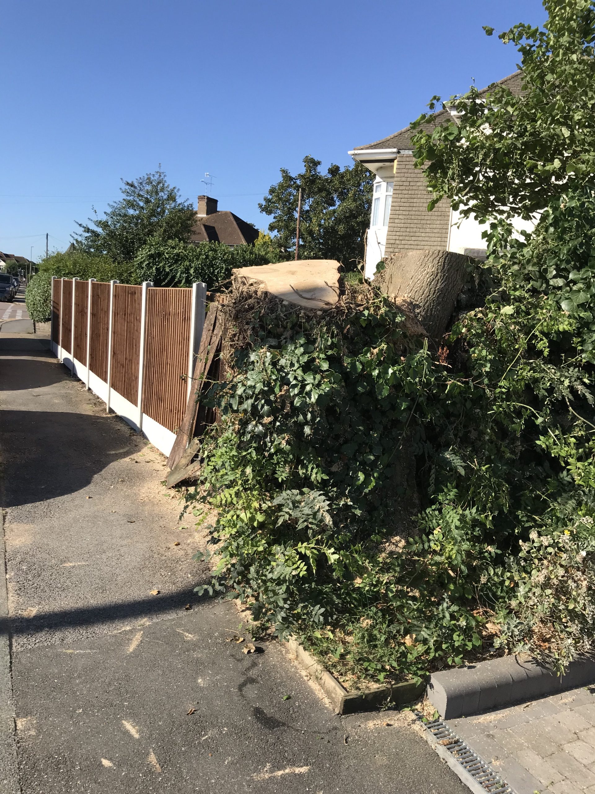 The Common Limit | When it's gone.... | Hadleigh & Thundersley ...